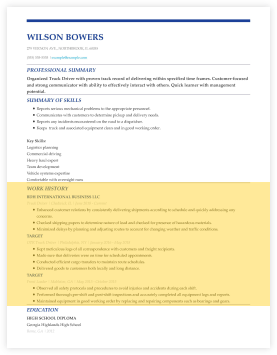 Resume Work History Format