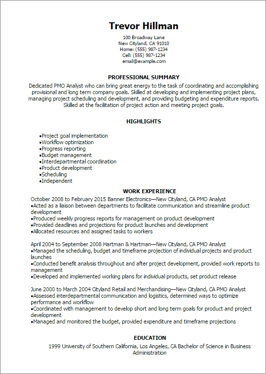 Professional Pmo Analyst Resume Example | MyPerfectResume