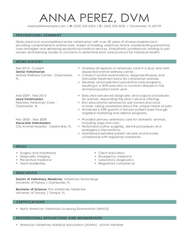 Veterinarian Resume Examples for 2025: Templates & Tips