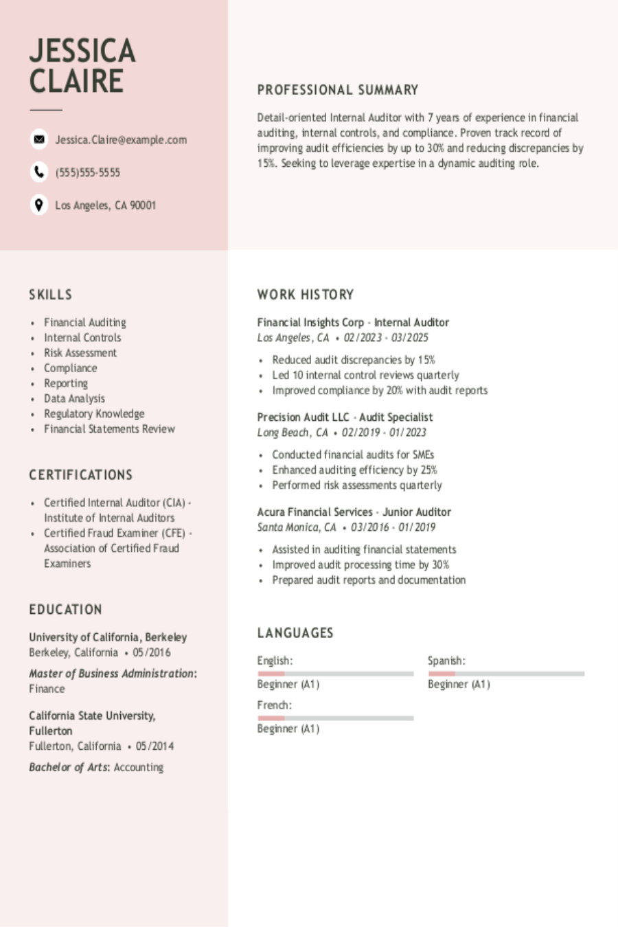 Internal Auditor Resume Examples & Templates
