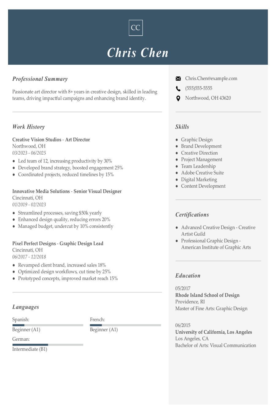 Art Director Resume Examples & Templates