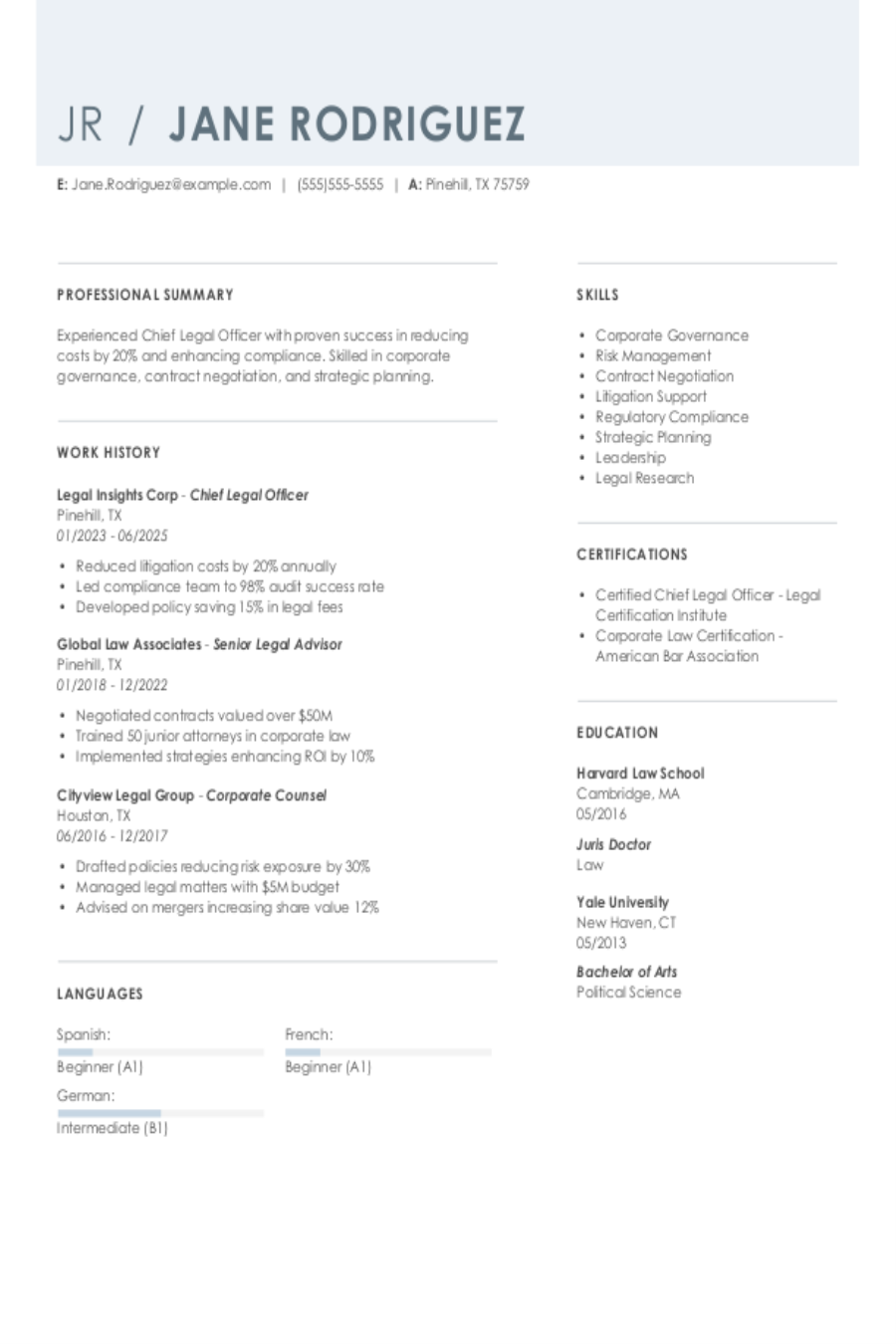 Chief Legal Officer Resume Examples & Templates