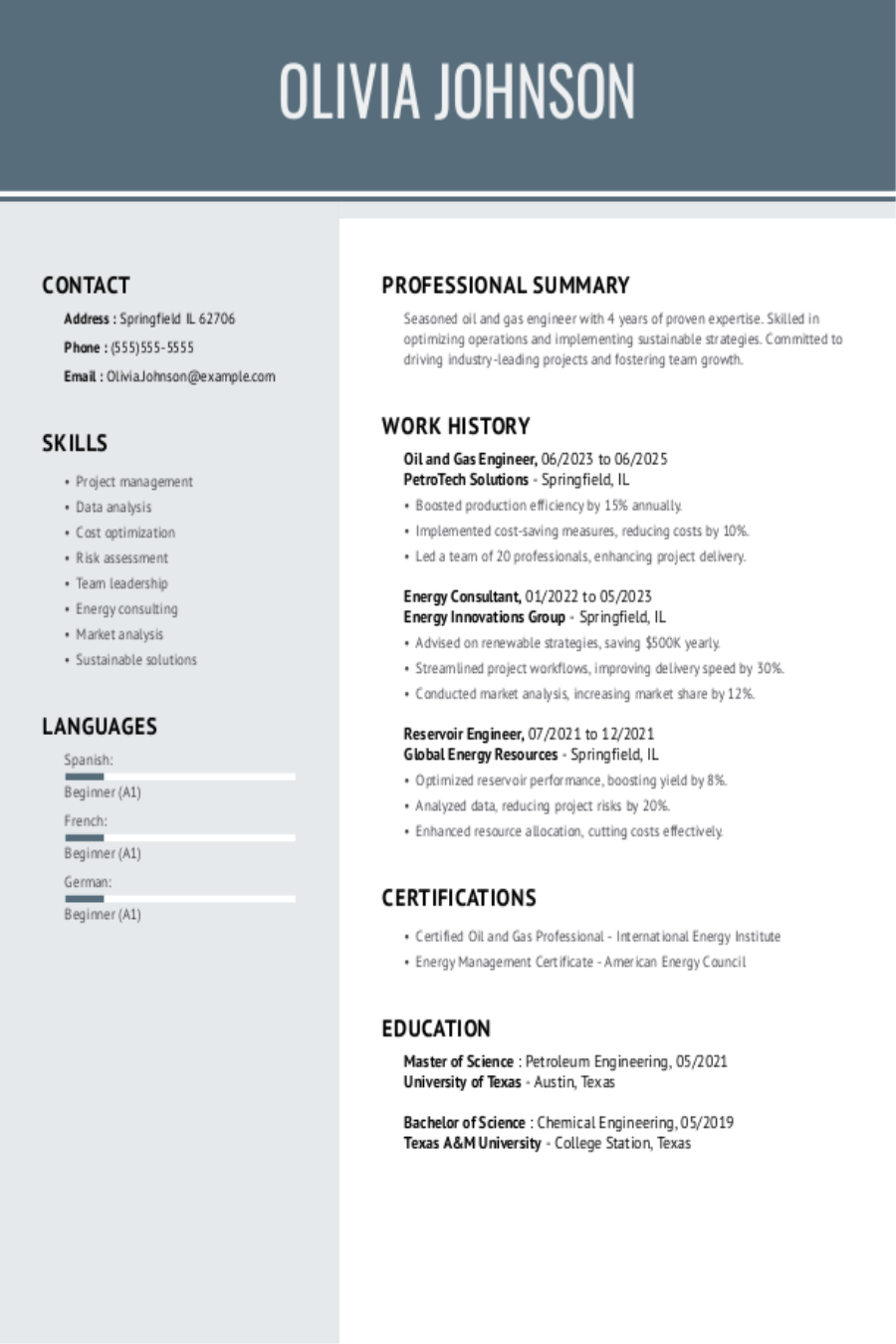 Oil And Gas Resume Examples & Templates
