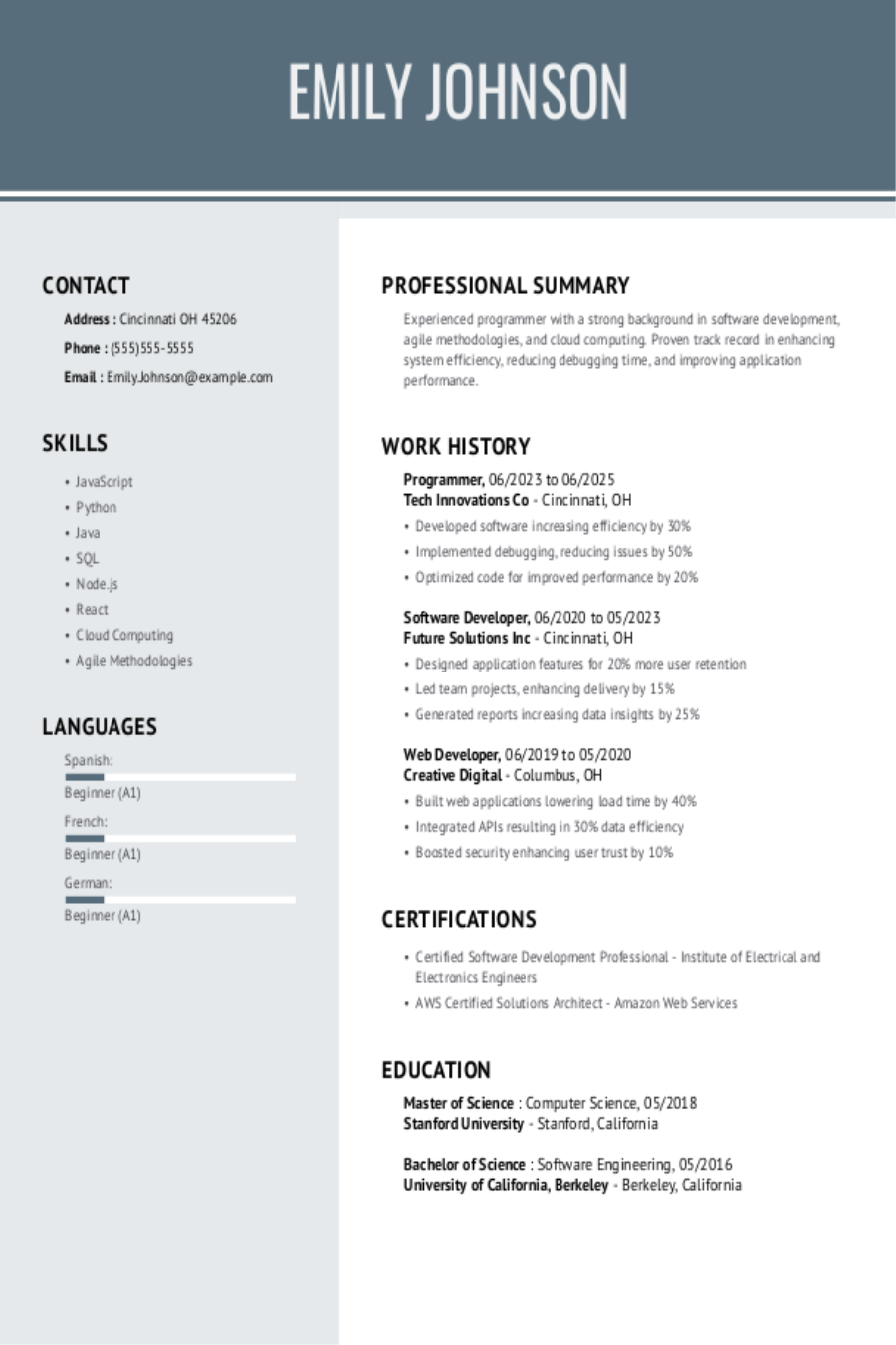 Programmer Resume Examples & Templates (2025)