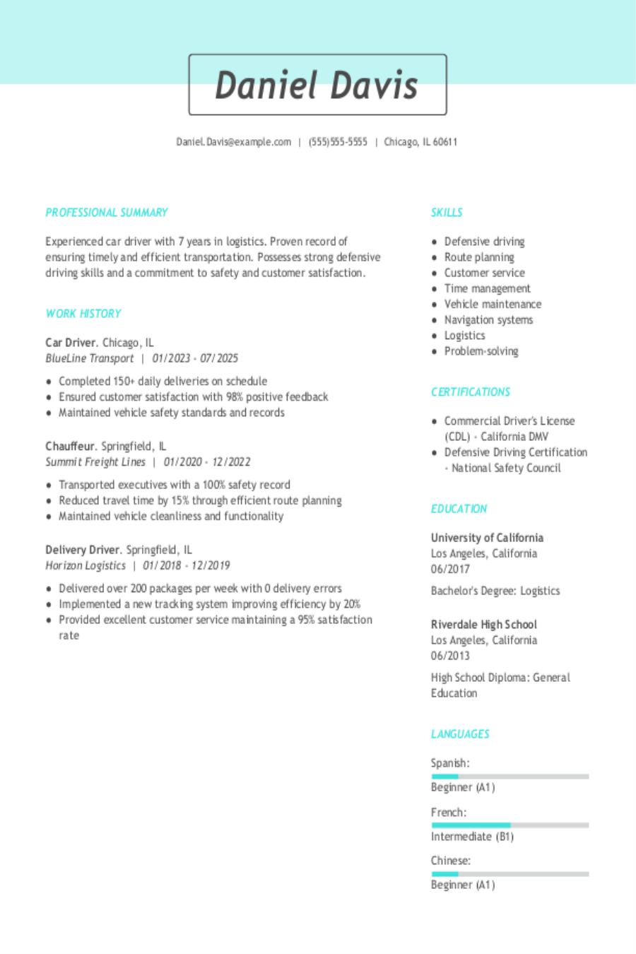 Car Driver Resume Examples & Templates