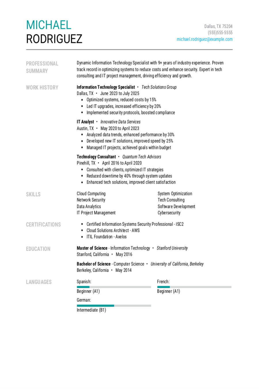 Information Technology Resume Examples & Templates