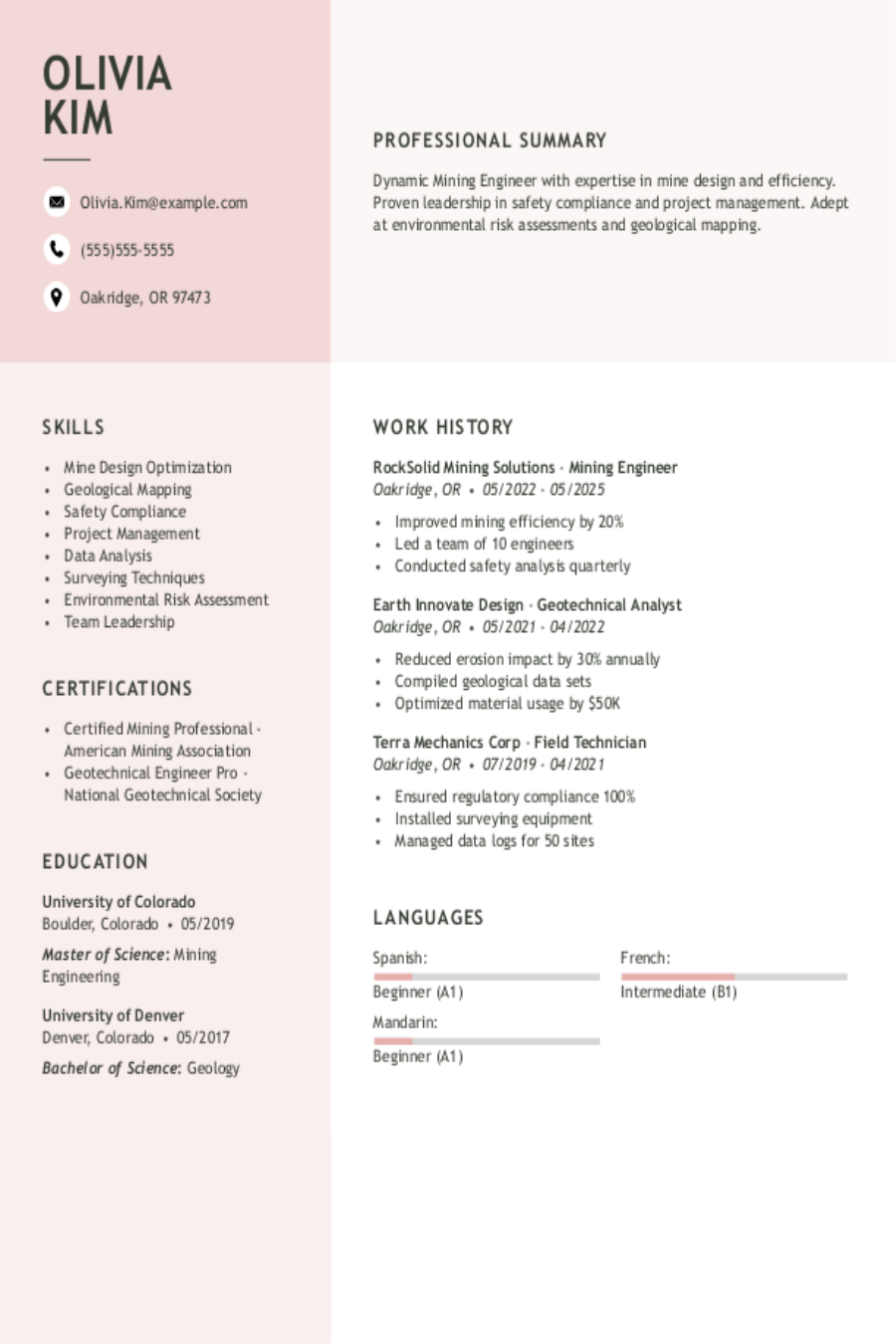 Mining Resume Examples & Templates
