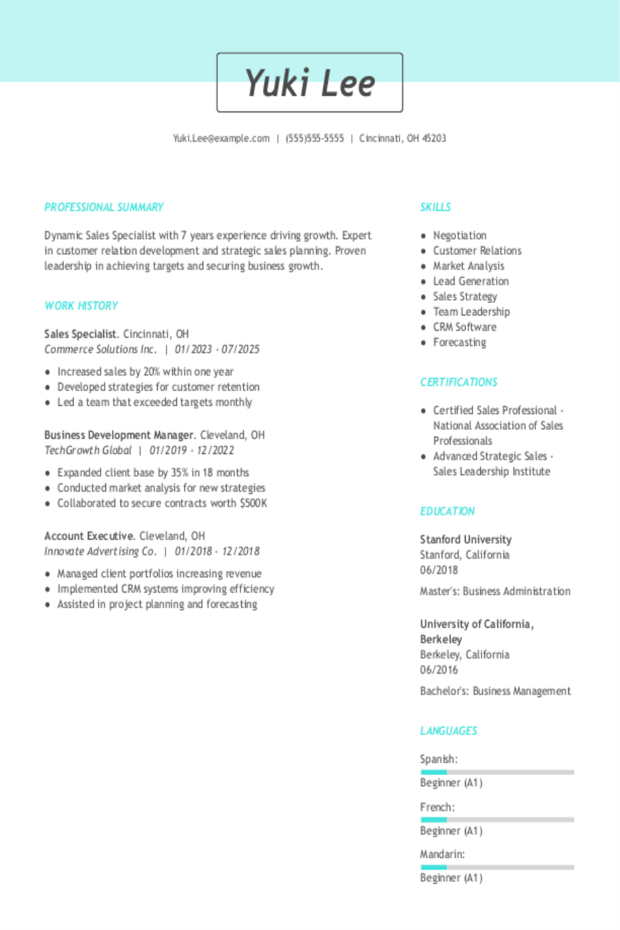 Sales Professional Resume