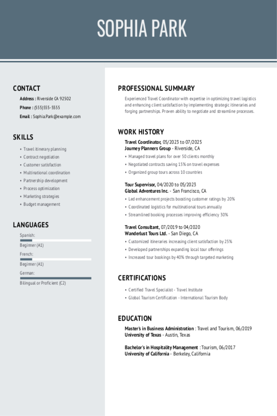 Travel Resume Examples & Templates