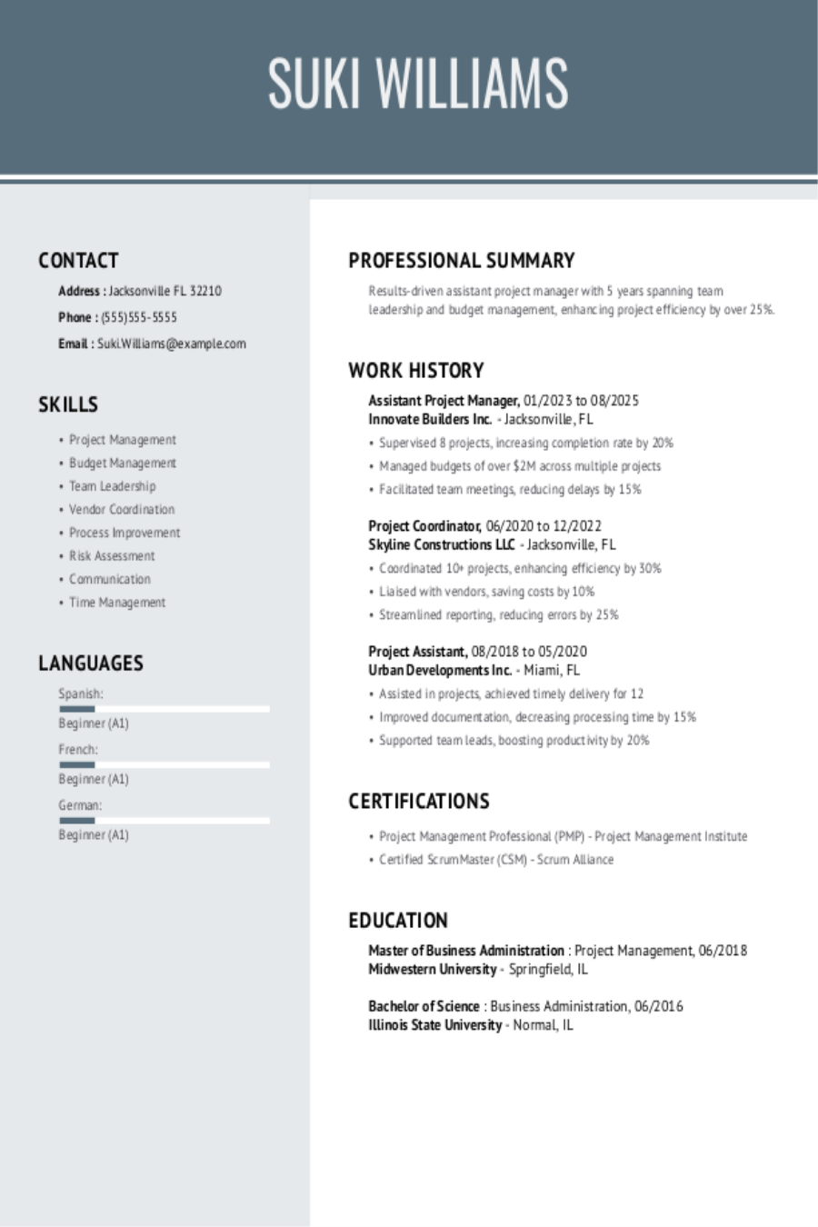 Assistant Project Manager Resume Examples & Templates