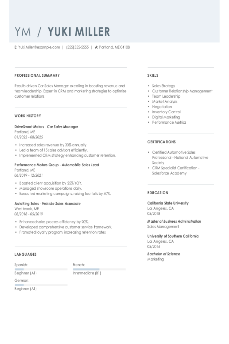 Car Sales Resume Examples