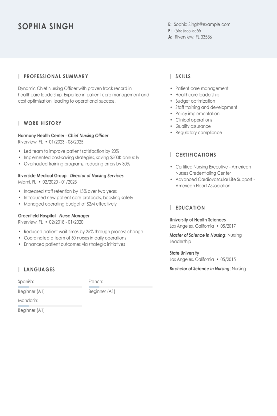Chief Nursing Officer Resume Examples & Templates
