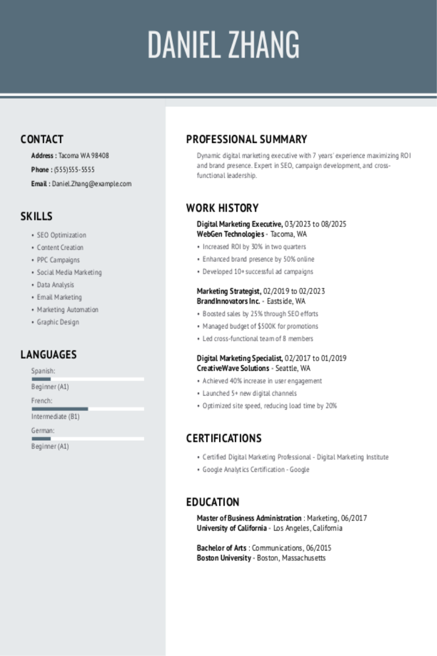 Digital Marketing Executive Resume Examples & Templates